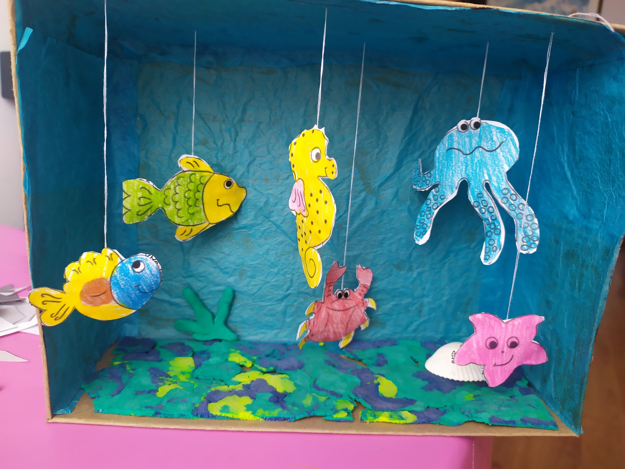 Fish Tank 1st (6) - El Camino Academy